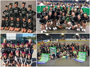 Naples Bears Youth Sports Association > Home